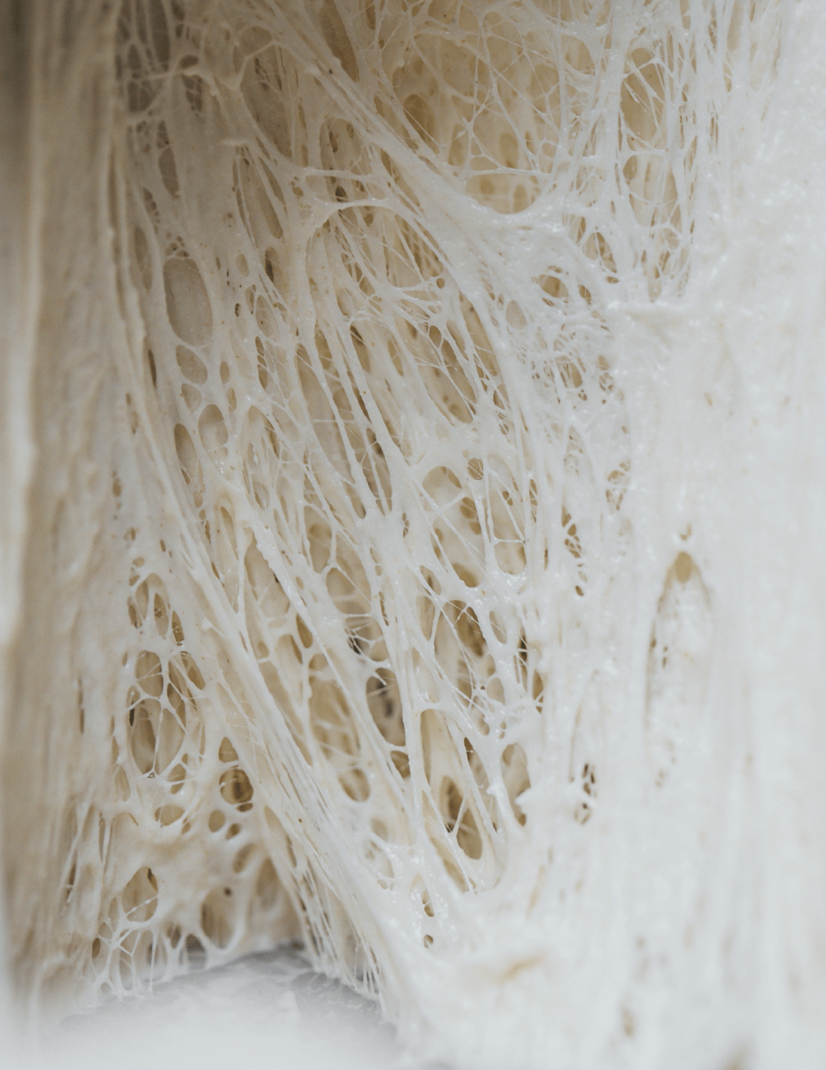 How to Fix Sticky Dough - Stadler Made